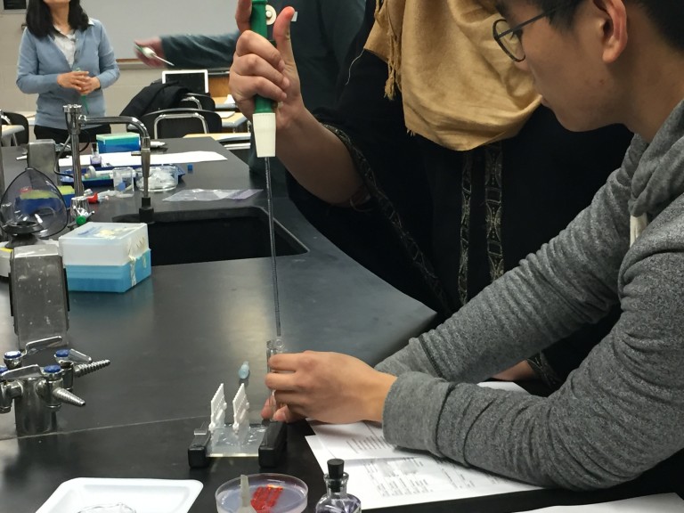 Classroom – miRcore