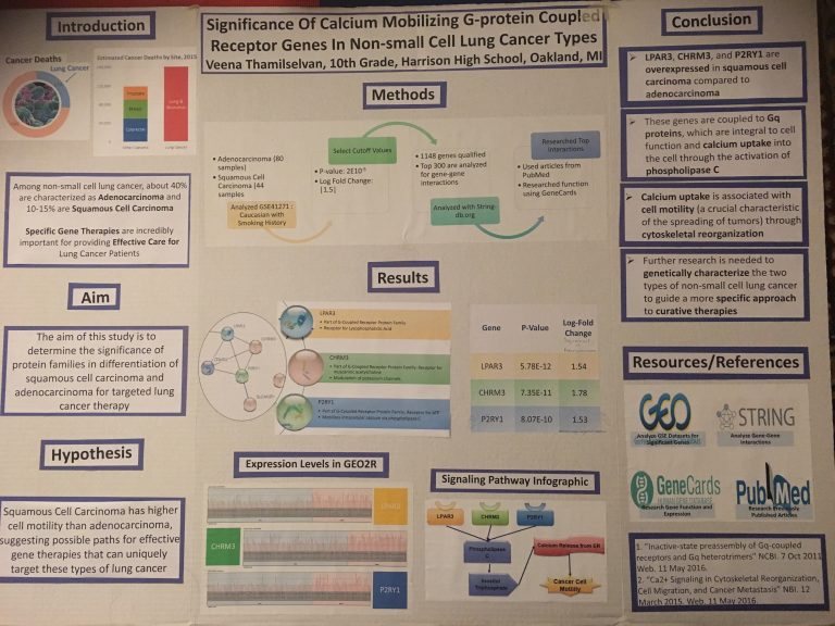 High School Research Conference Poster Examples – miRcore