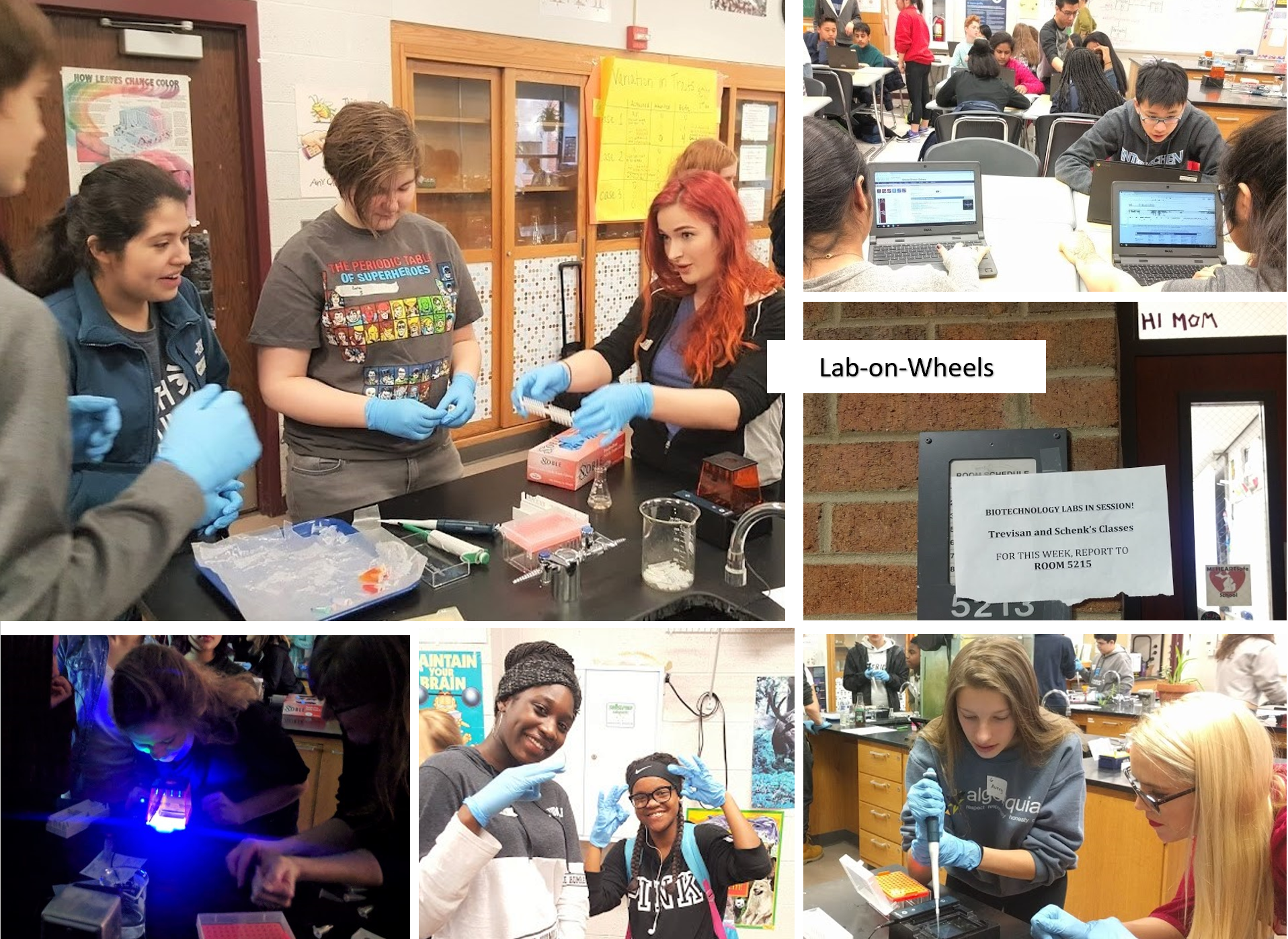 miRcore – democratize medical research