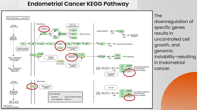 2025 In-Person Camp – miRcore
